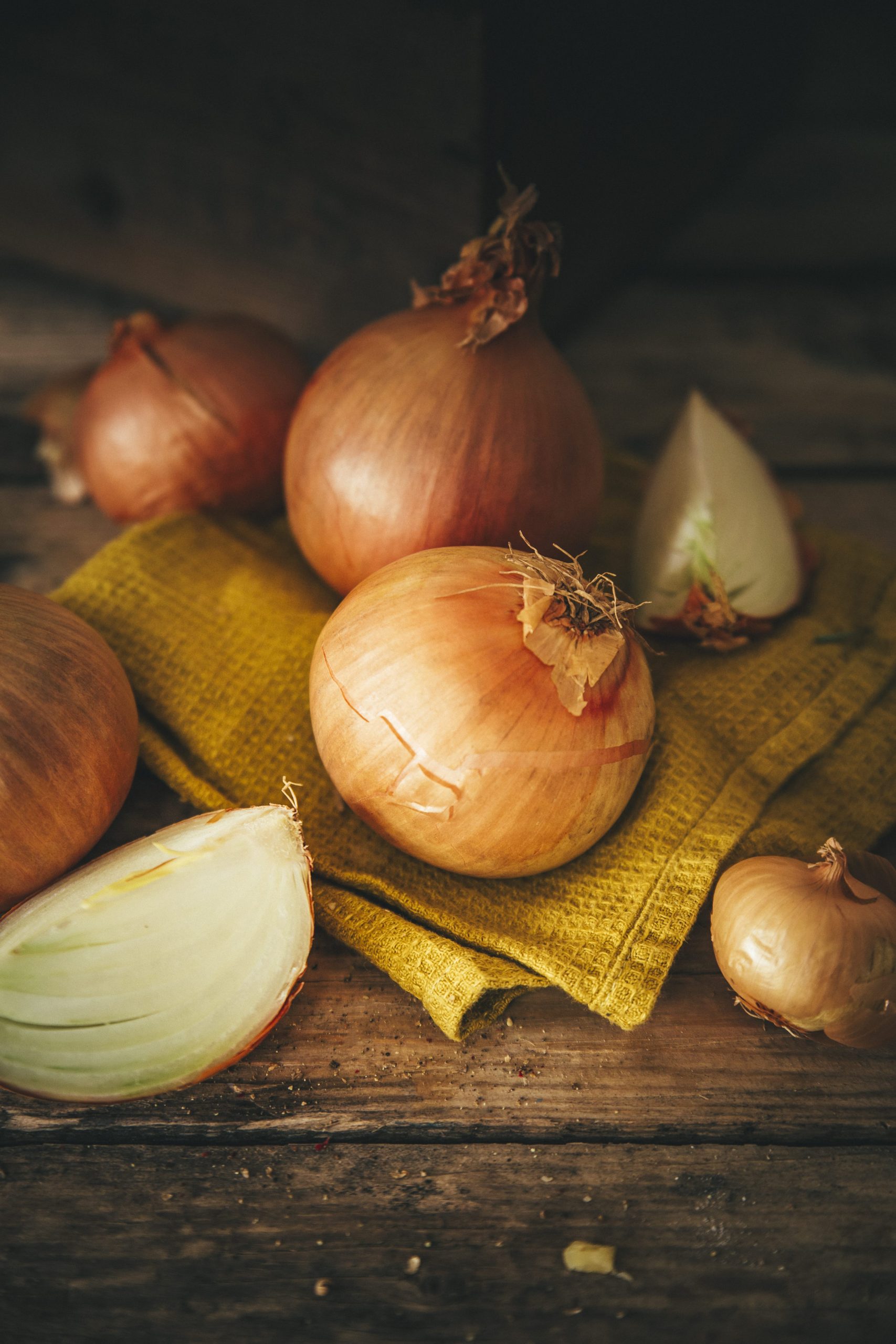 Découvrez notre producteur d'oignon