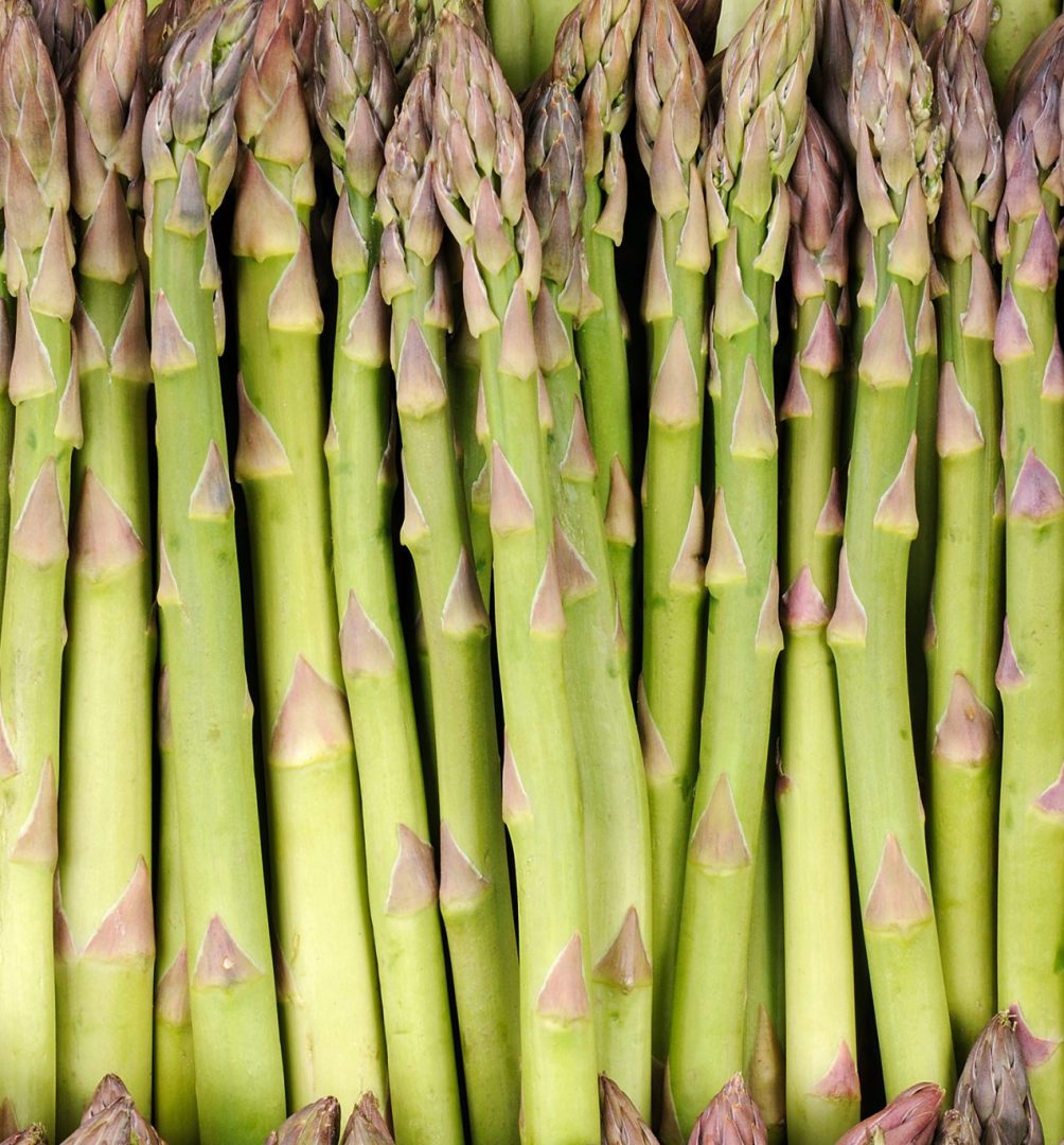 L’asperge sous toutes ses formes