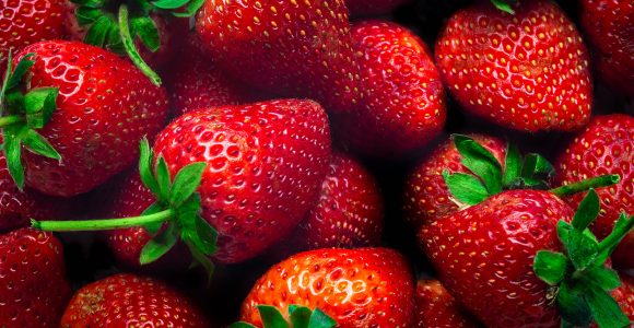 Magasins fresh. | Les spécialistes des produits frais avec amour - fresh.