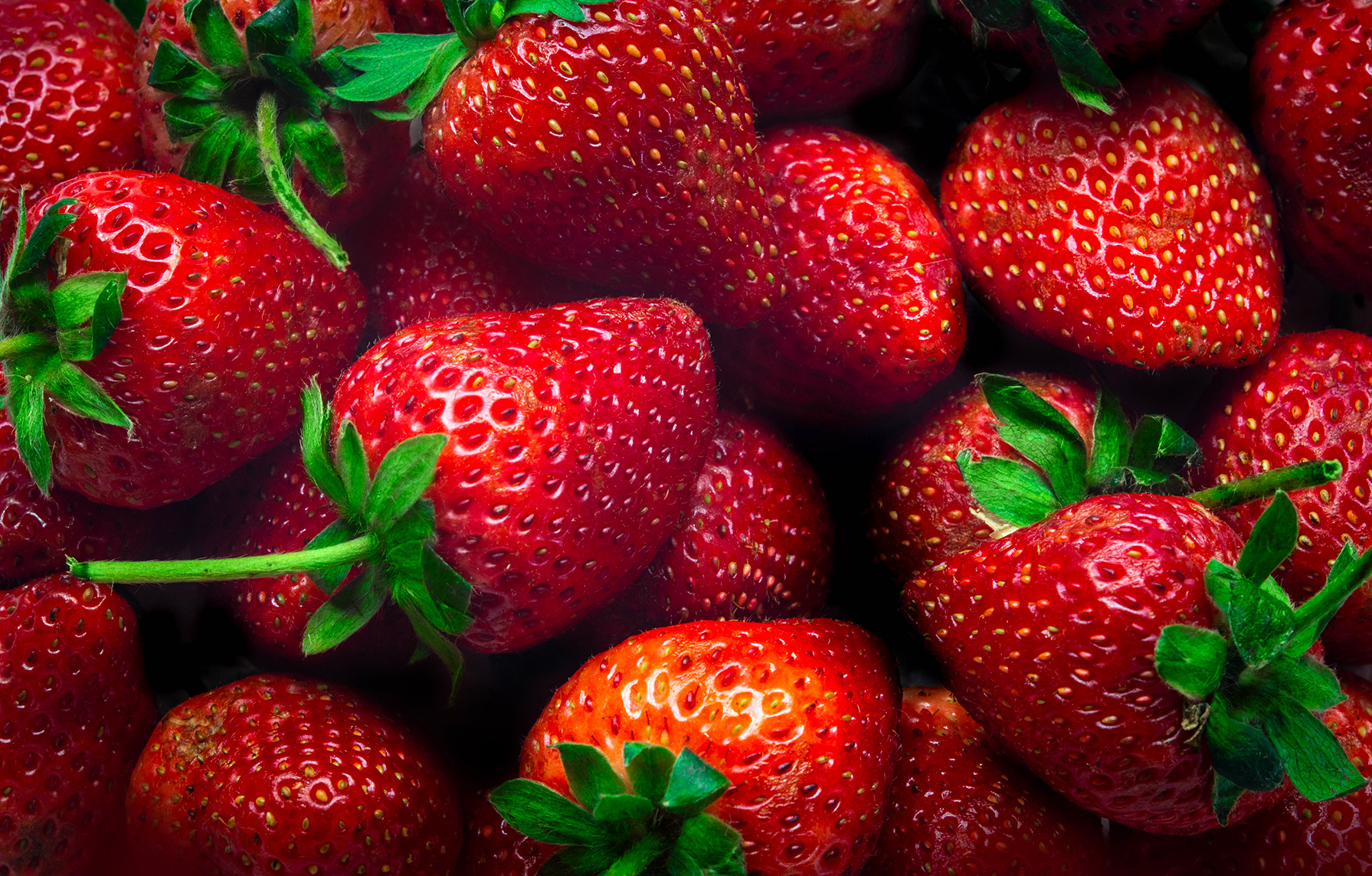 Tout savoir sur les fraises