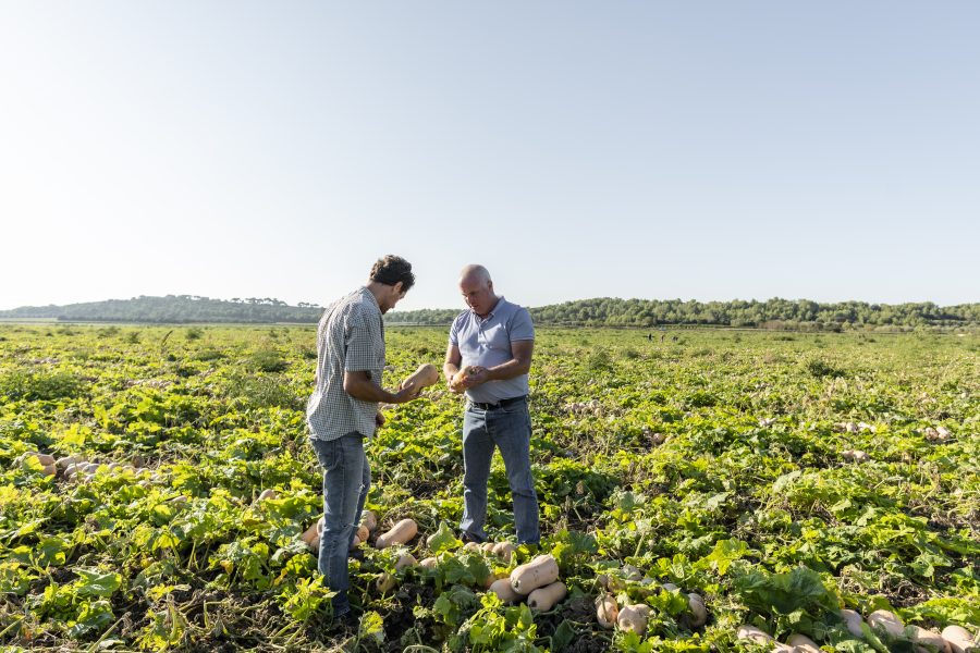 Magasins fresh. | Les spécialistes des produits frais avec amour