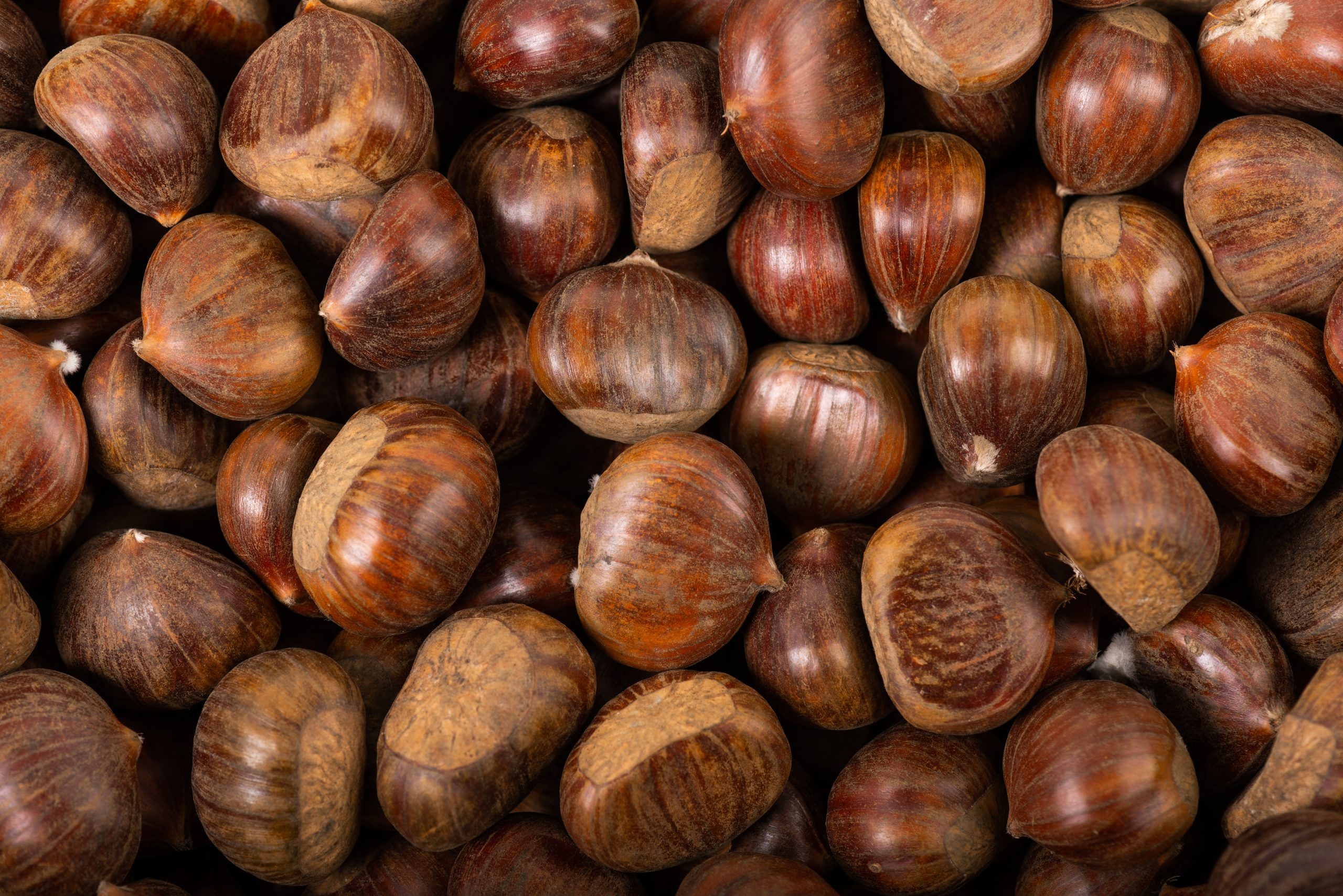 tout savoir sur la châtaigne chez fresh.