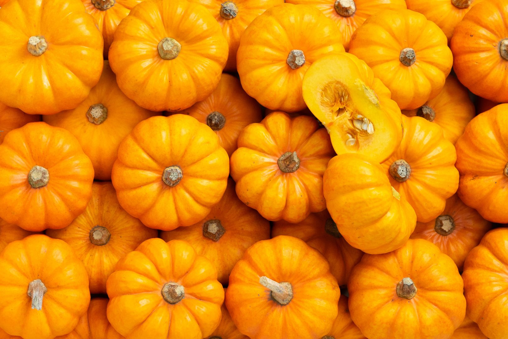 Magasins fresh. | Les spécialistes des produits frais avec amour - fresh.