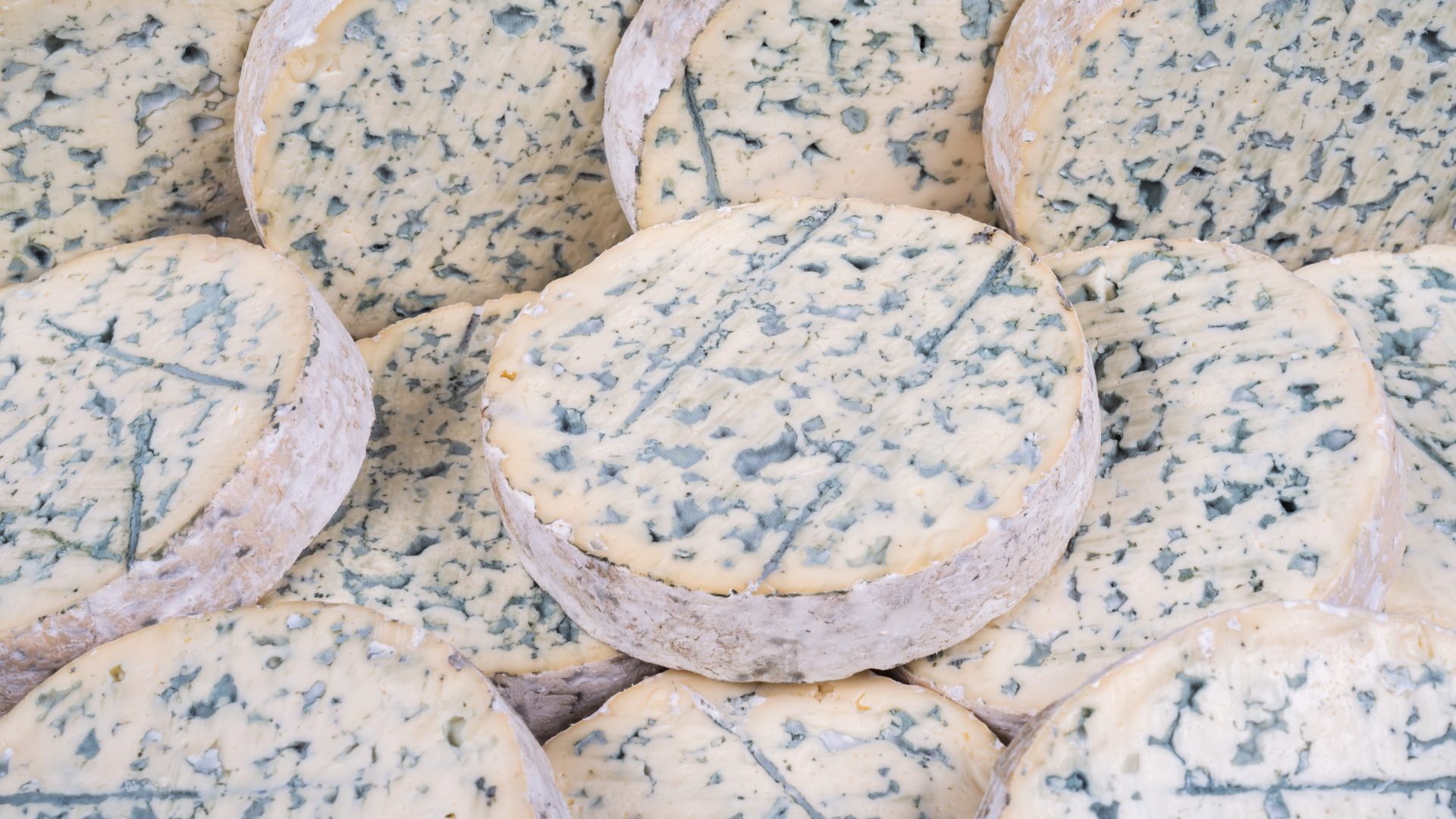 fourme d'ambert aop*