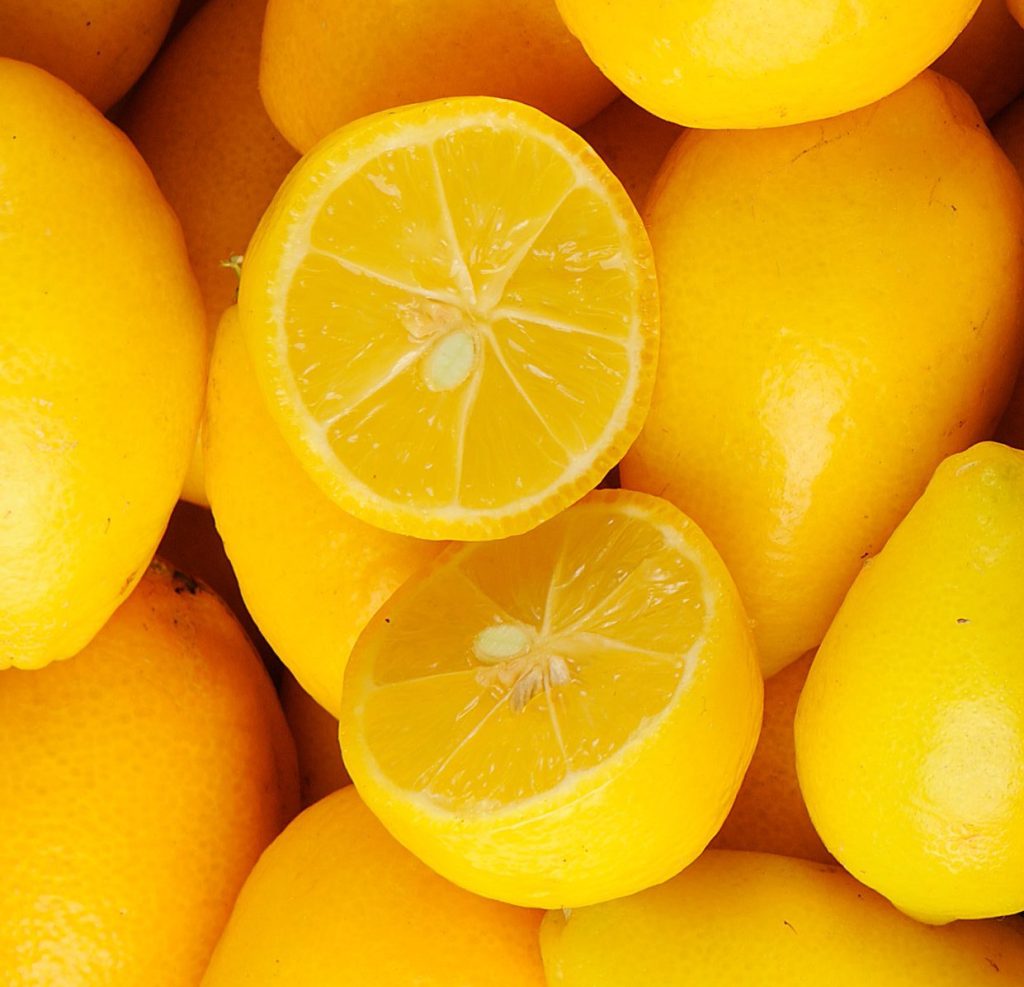 Découvrez nos différentes variétés d'agrumes d'exception