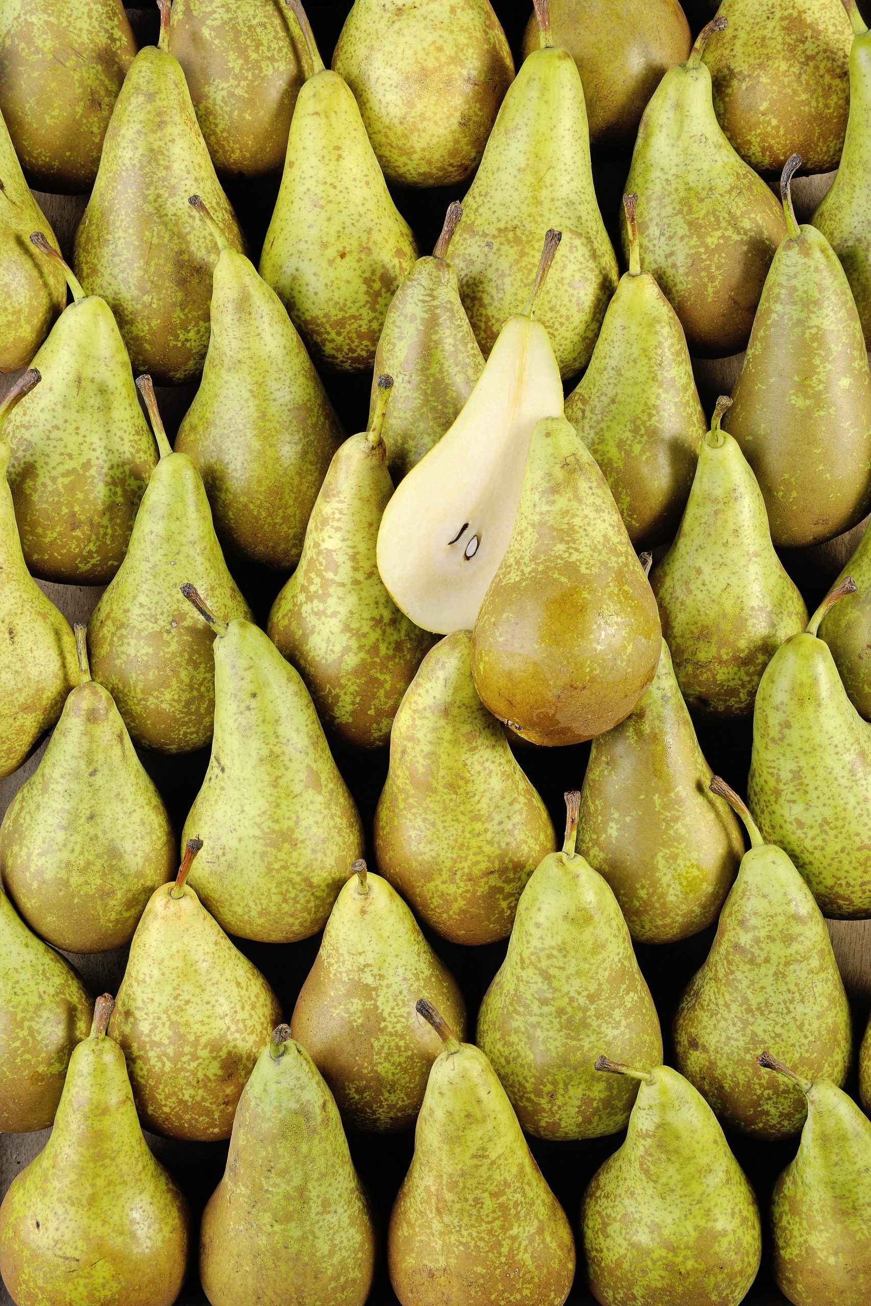 poire conférence. - fresh.