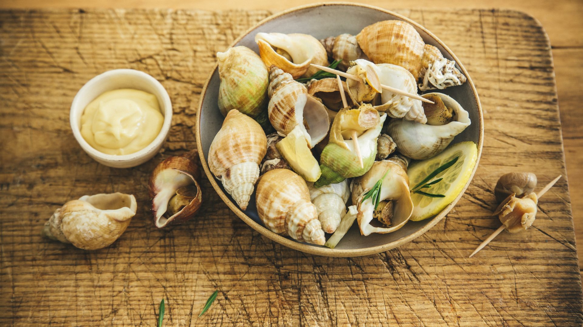 bulots cuits 500g +20% offert - fresh.