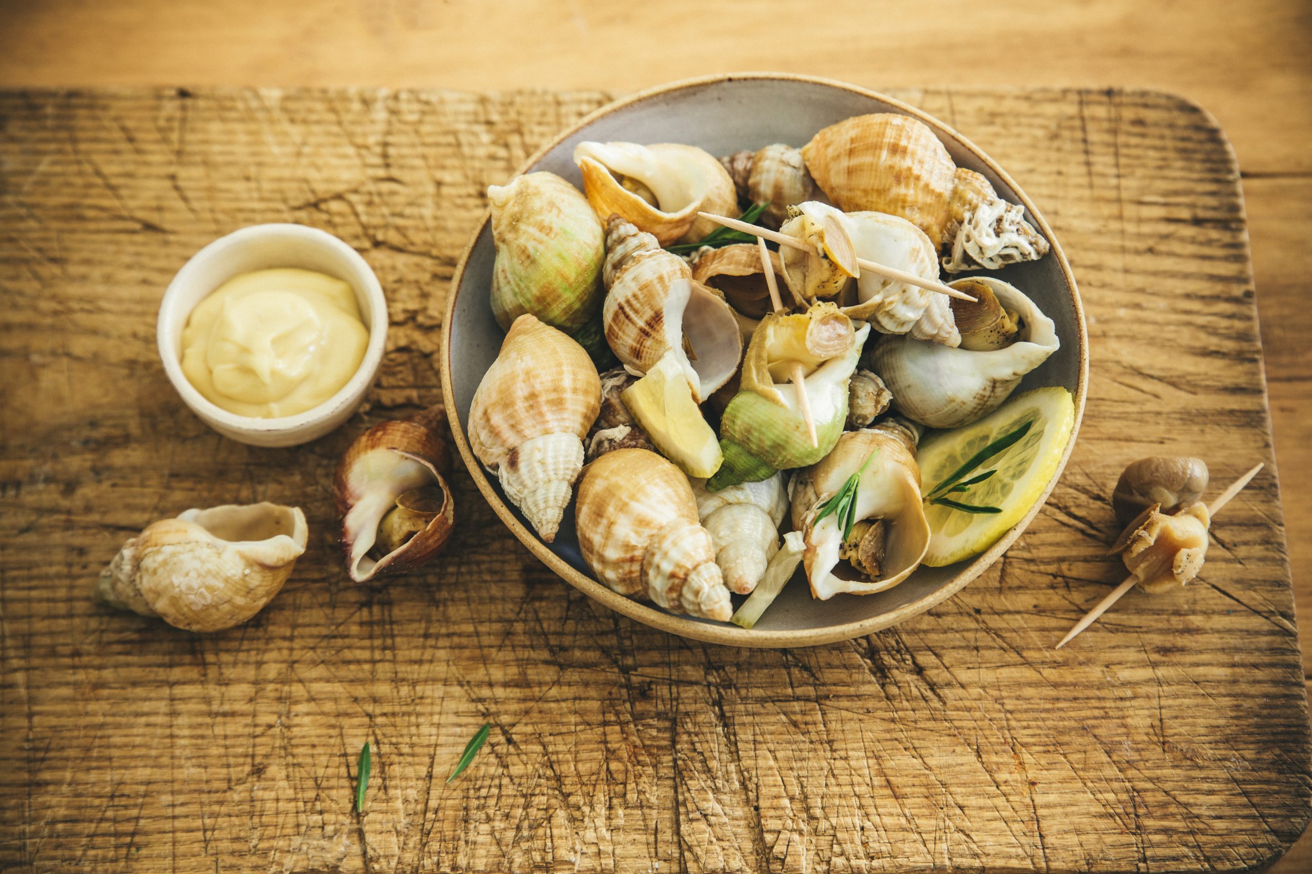 bulots cuits - fresh.