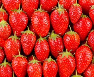 Magasins fresh. | Les spécialistes des produits frais avec amour