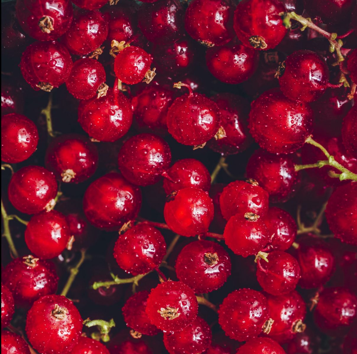 Les fruits et légumes du mois d'août