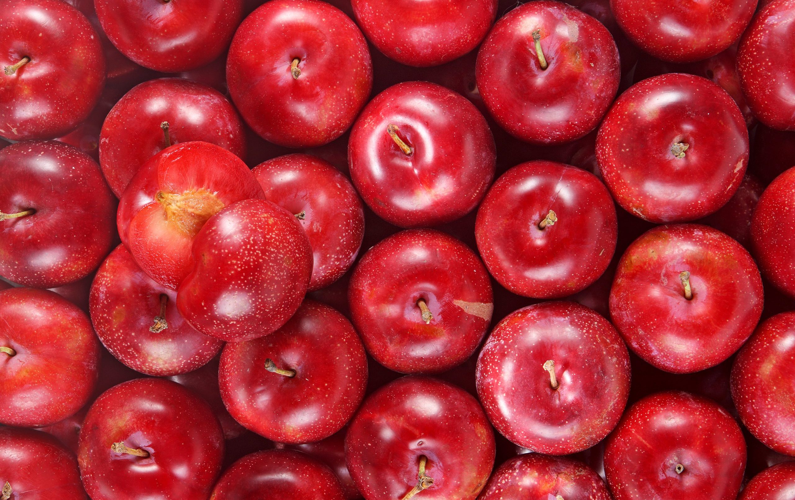 Prune Rouge Fresh Prune Rouge Fresh
