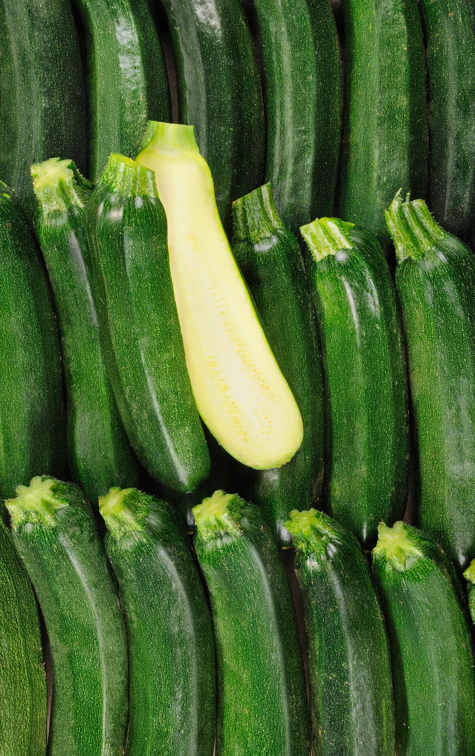 courgette filet.
