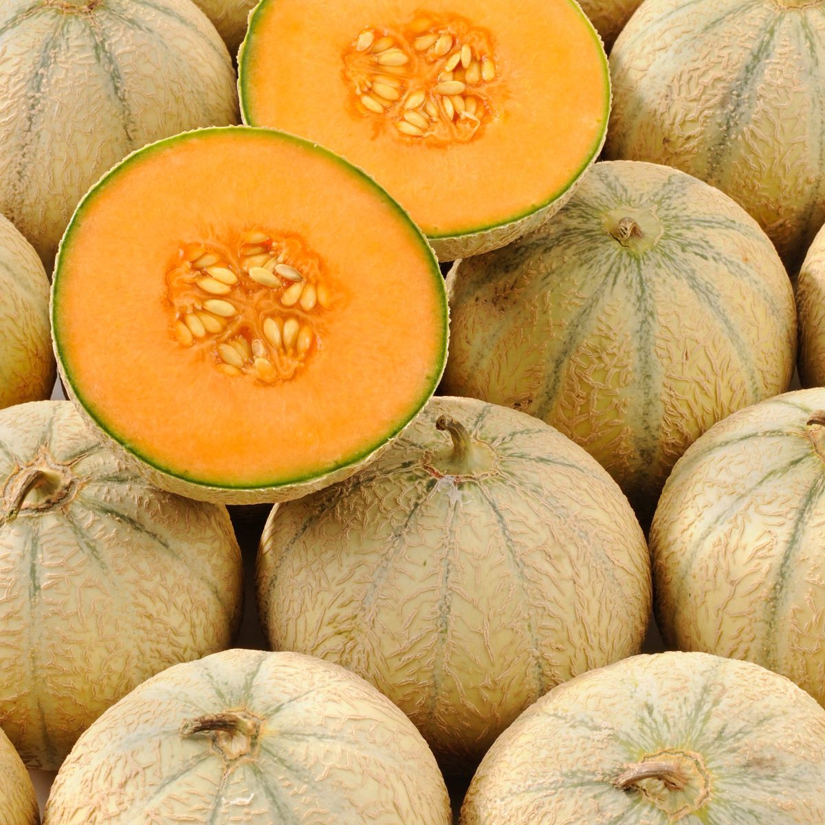 Le melon, chapeau à ceux qui le cultivent ! - fresh.