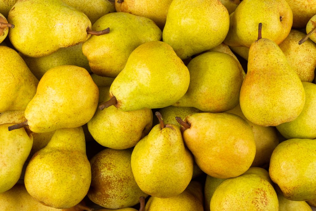 Les fruits et légumes de Septembre