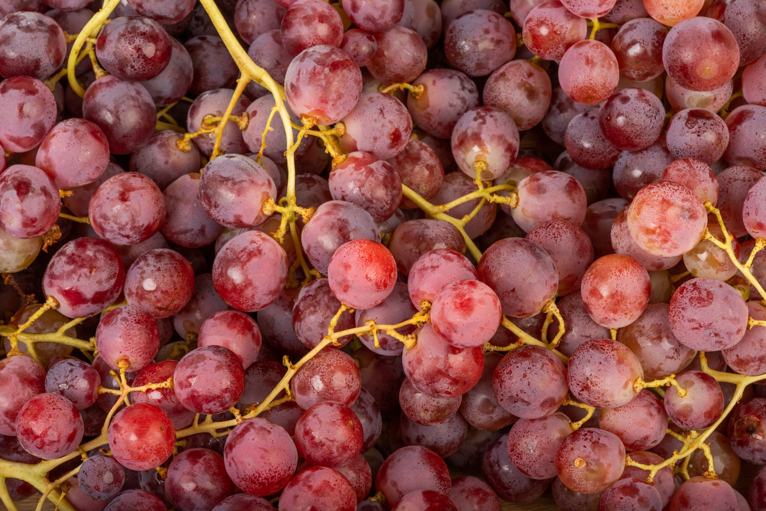 raisin red globe - fresh.