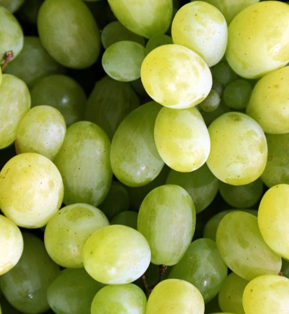 Magasins fresh. | Les spécialistes des produits frais avec amour - fresh.