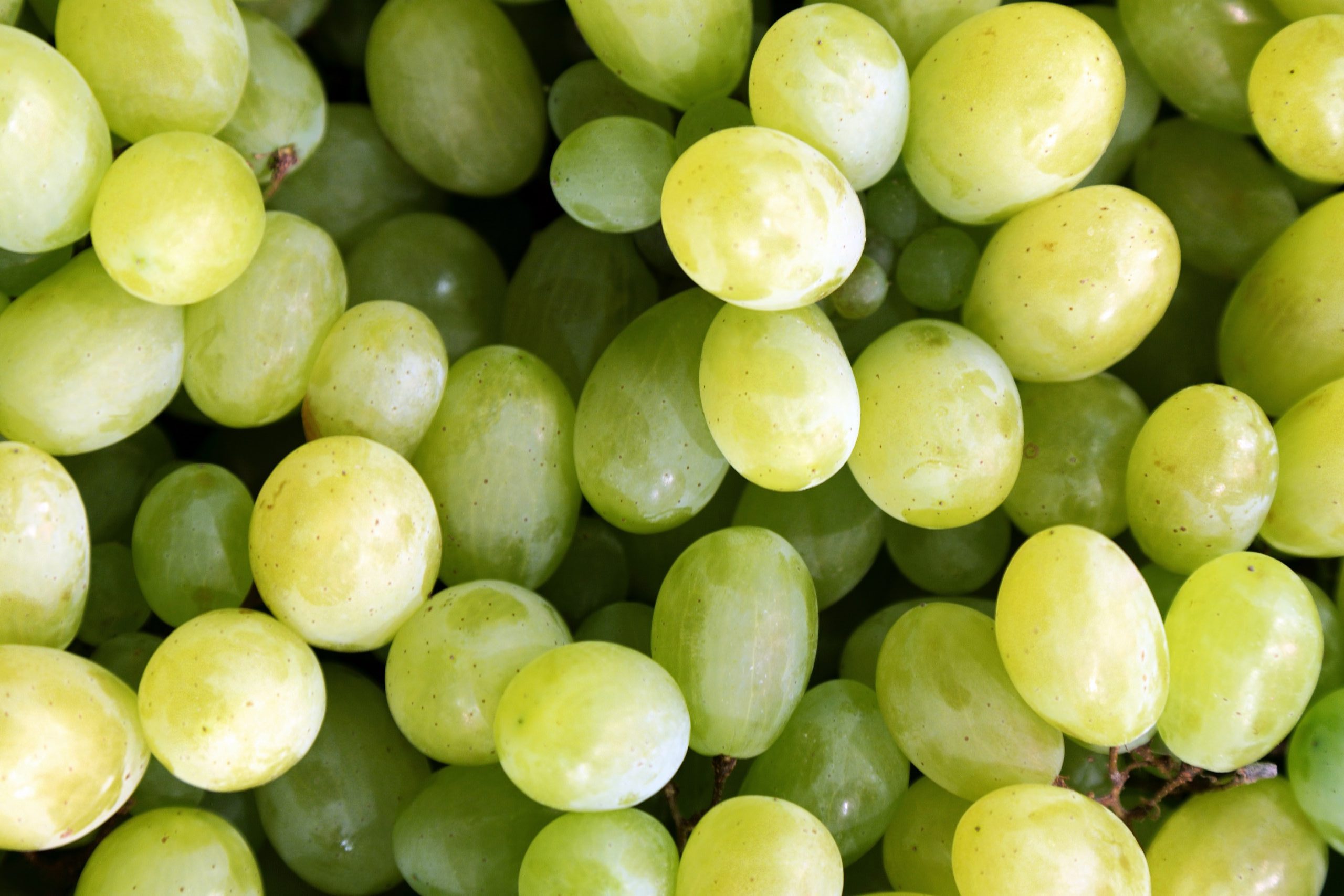 Les différents raisins chez fresh.