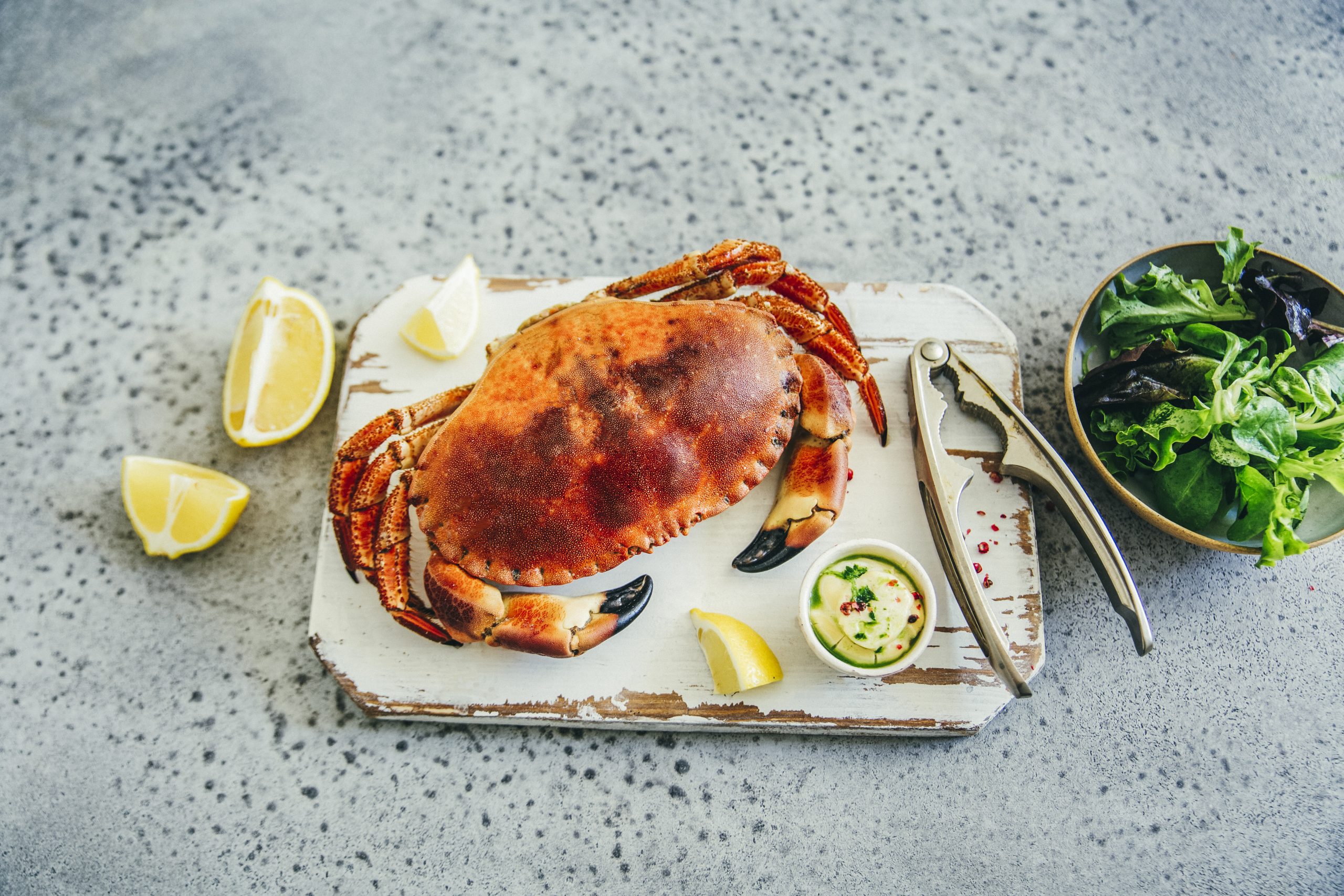 tourteau cuit - fresh.