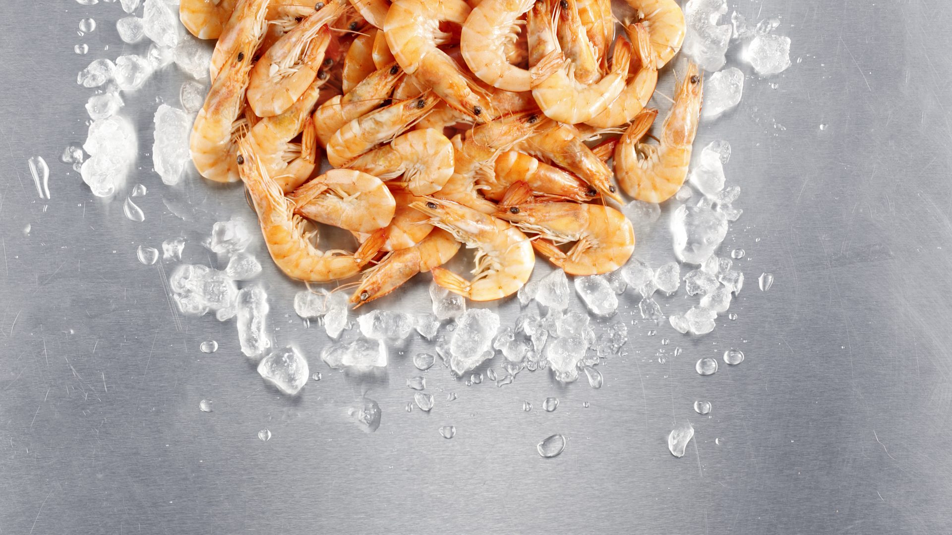 crevette cuite sauvage 60/80