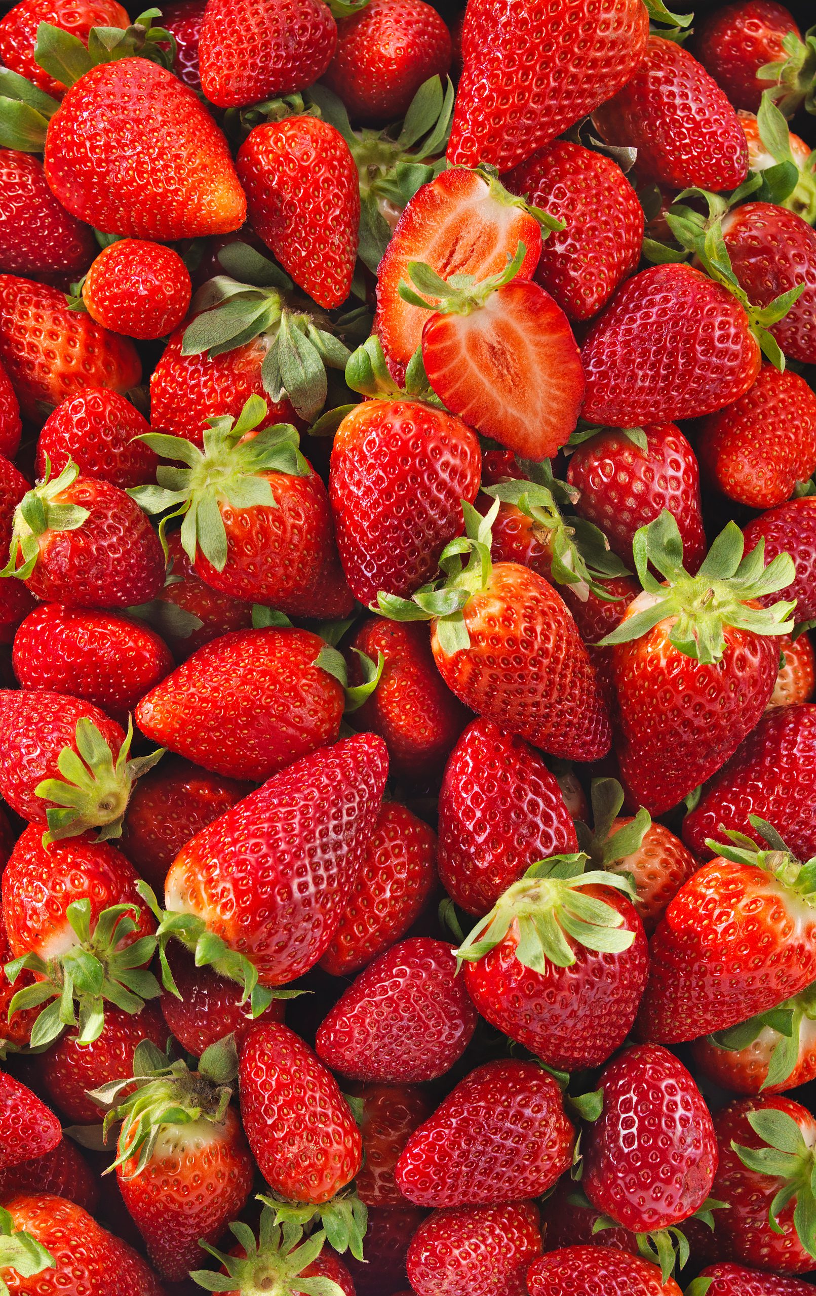 Découvrez nos producteurs de fraises