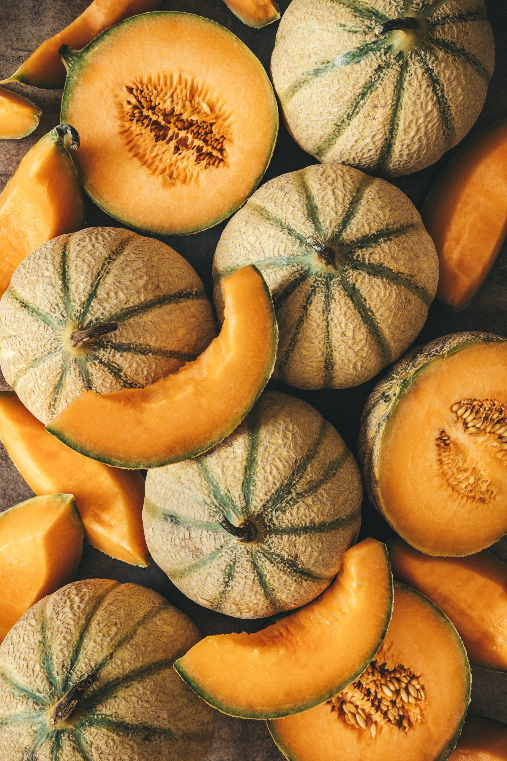 Découvrez notre producteur de melon Vendélice